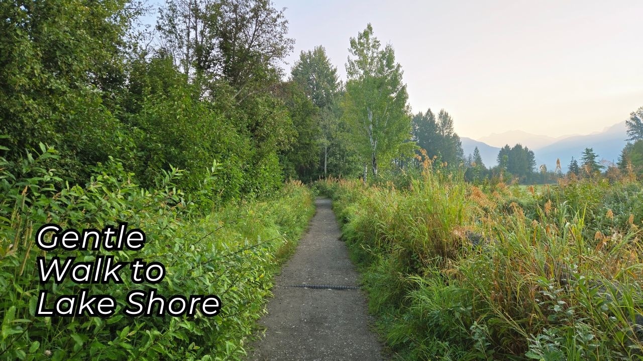 Misty Sunrise Walk in the Woods to a Lake Shore (14 Min) | Nature ...