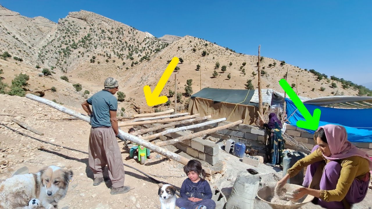 "Nargis, father and home:😱love, solidarity and building life together ...