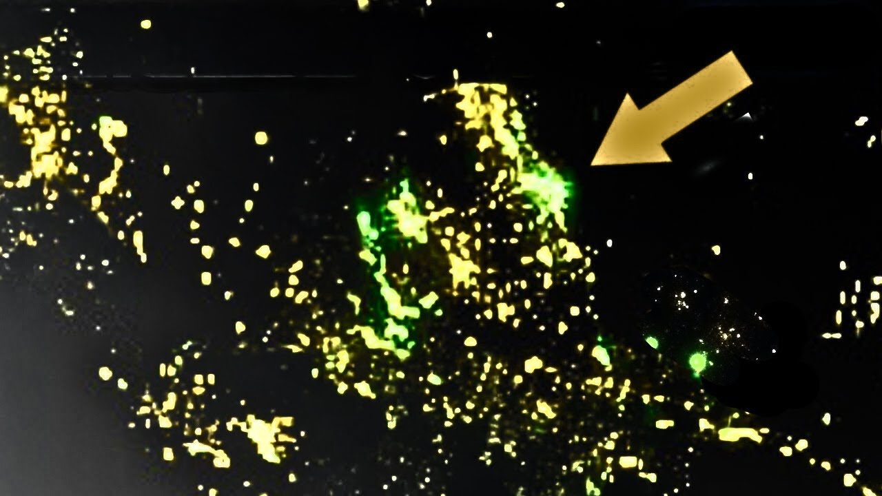 The Clearest Image Of Proxima B Released By The James Webb Telescope Is ...