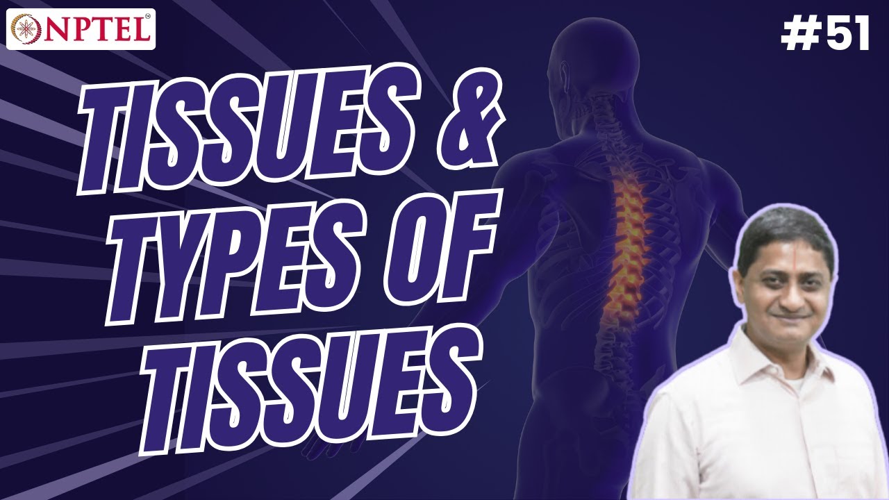 #51 Tissues & Types of Tissues | Biomechanics - YouTube