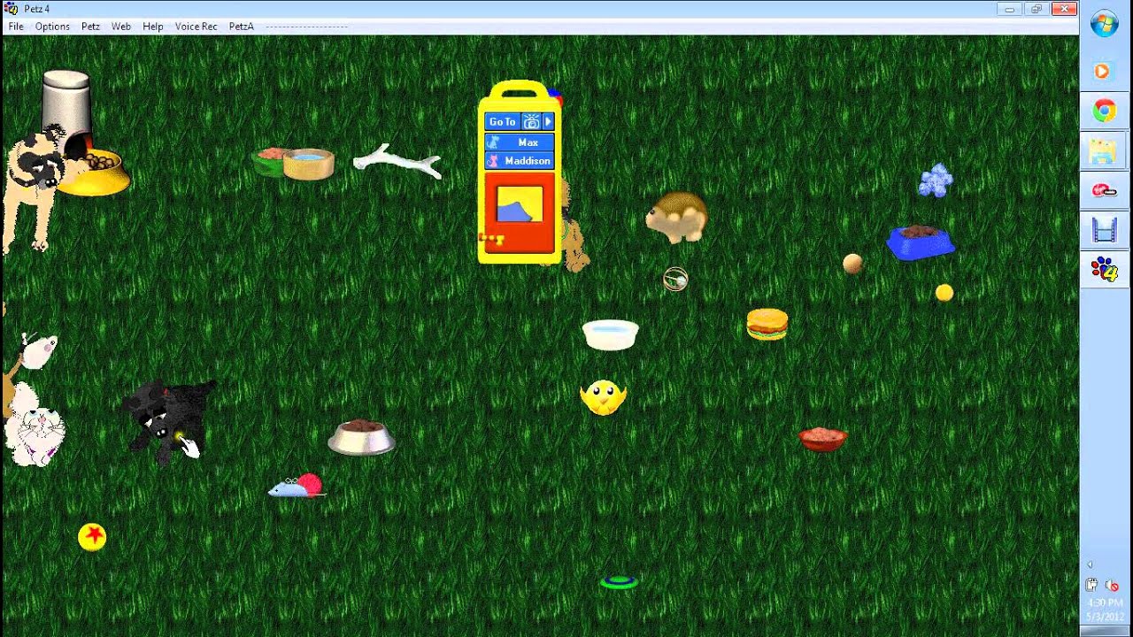 random duke's group petz play - YouTube