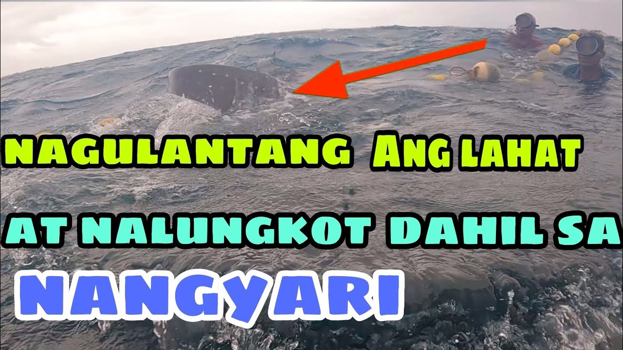 nagulantang Ang lahat at nalungkot dahil sa nangyari - YouTube