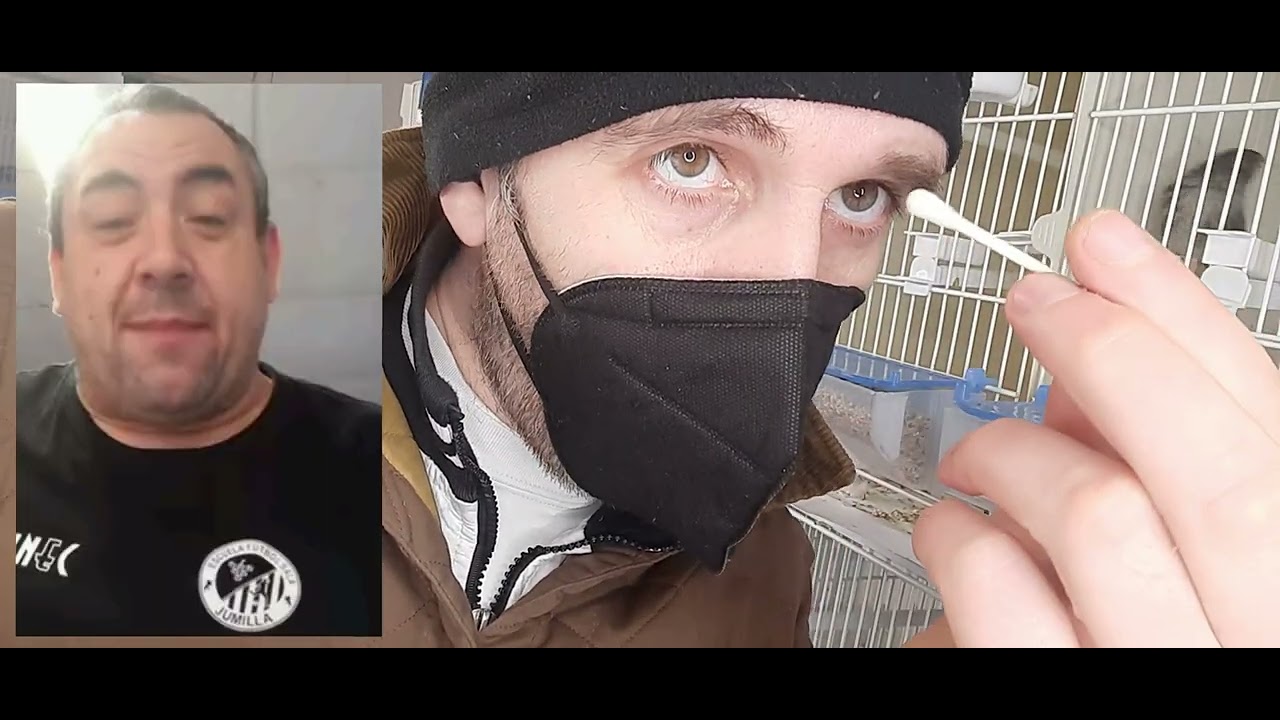 chequeando el aviario + explicación sobre el aparato reproductor - YouTube