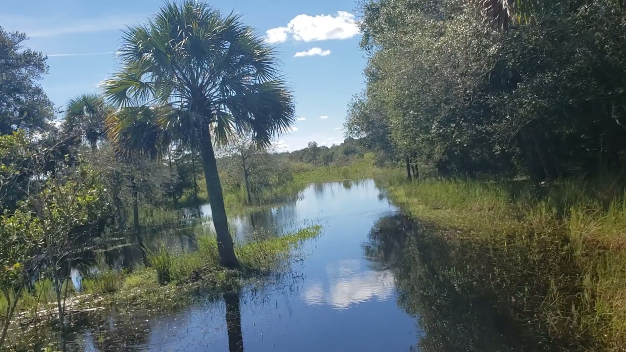 Airboat Ride Through Flying Eagle - YouTube