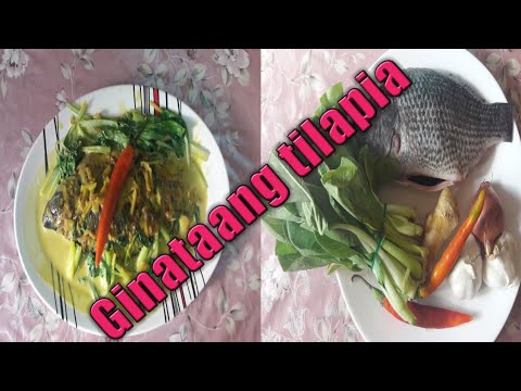 Ginataang tilapya (how to cook tilapya with coconut milk) - YouTube