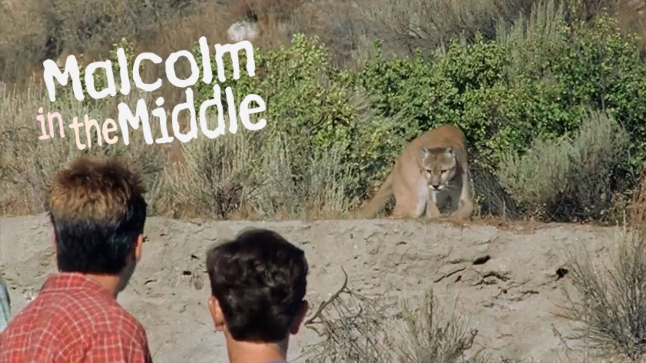 Reese ve a un León | Malcolm el de en medio - YouTube