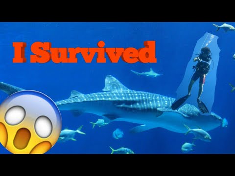 I Survived A Shark Attack! *meme* - YouTube