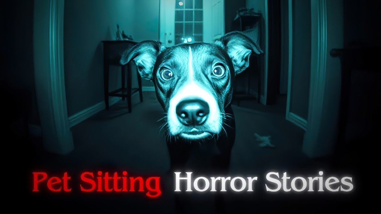 3 Really Scary TRUE Pet Sitting Horror Stories720P 60FPS - YouTube