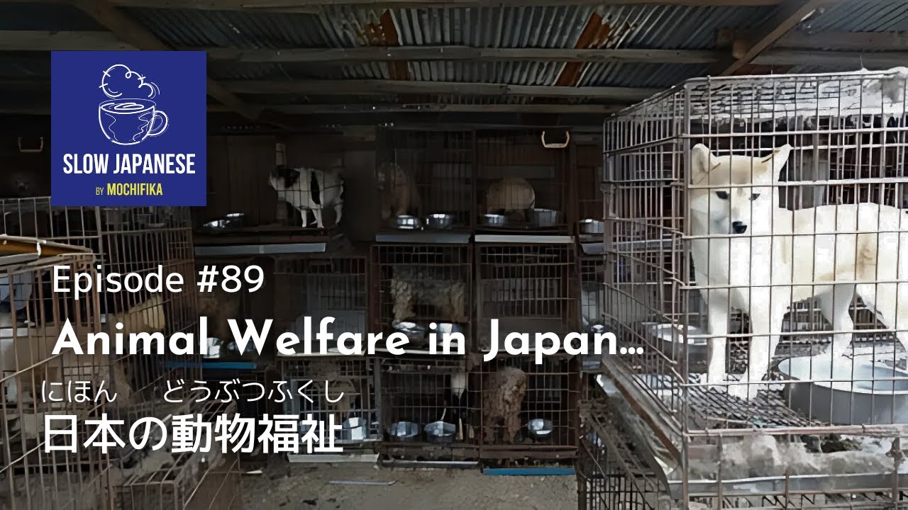 Slow Japanese【Podcast for beginners & intermediate】Episode #89 - Animal ...