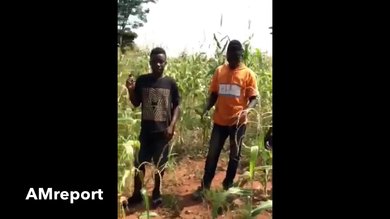 HON FRANCIS ADDAI NIMO CLEARED ALL THESE FARM PRODUCTS CLAIMING ...