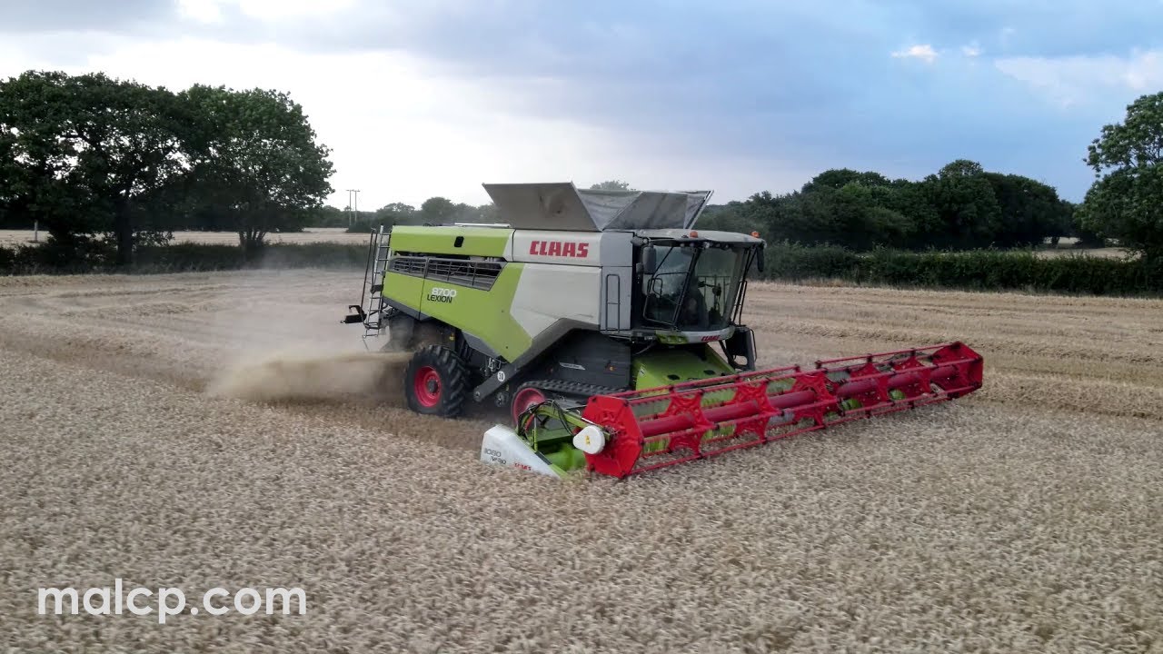 Harvest 2022: Claas Lexion 8700 TT harvesting wheat on a dull evening ...