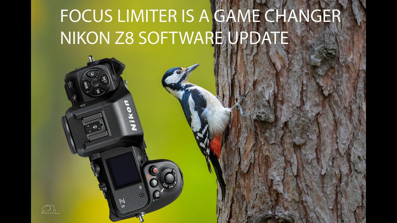 Focus limiter to jest Game changer! Nikon Z8 new software update - YouTube