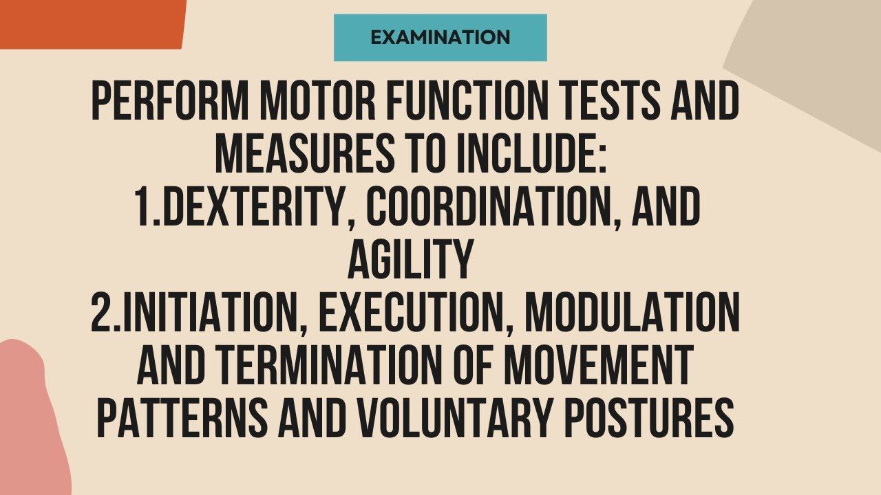 Examination In Supervised Clinical Practice||Part 7||Motor Function ...