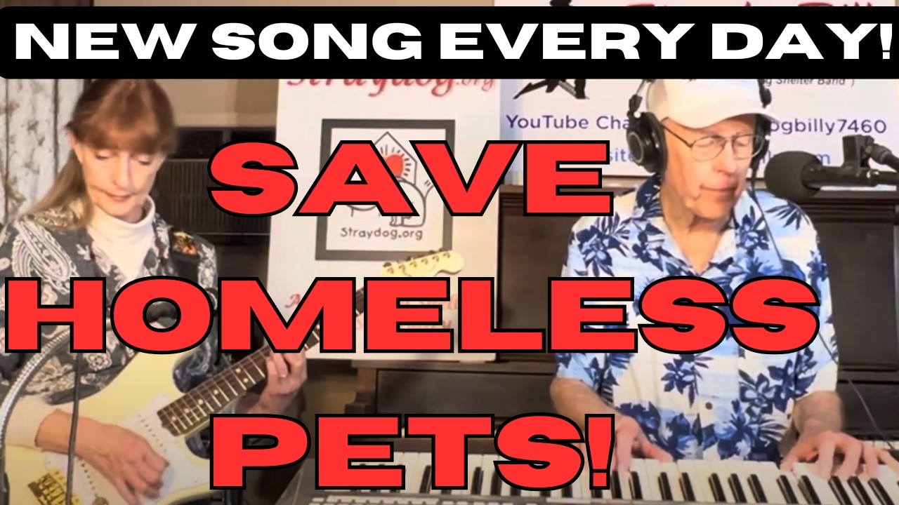 Hey There Stray Dog – written by Straydog Billy – Song 1641 – Spay ...