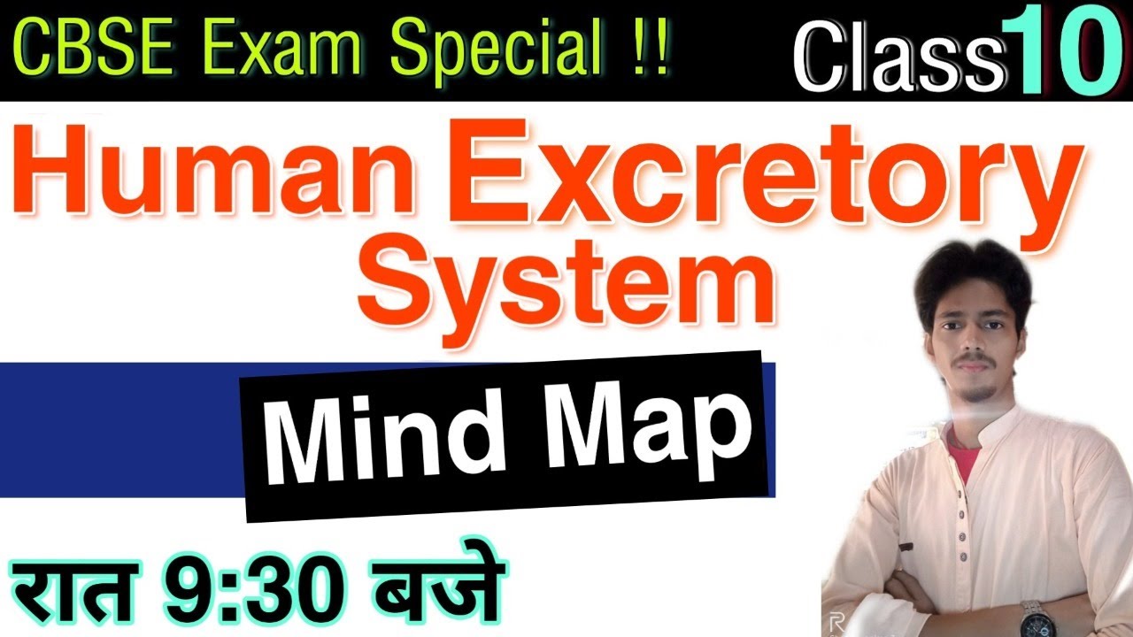 Human Excretory System Mind map | Life Processes | Class 10 Bio.| Board ...