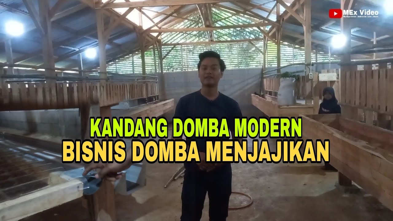 REVIEW KANDANG DOMBA MODERN TERKOLEKSI SISTEM BREEDING DAN FATTENING - YouTube