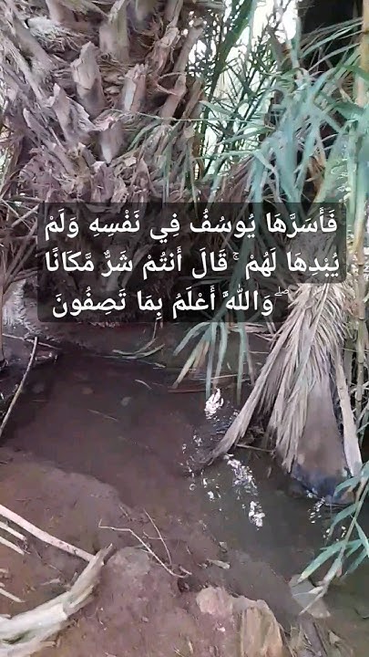 فَأَسَرَّهَا يُوسُفُ فِي نَفْسِهِ وَلَمْ يُبْدِهَا لَهُمْ ۚ قَالَ أَنتُمْ شَرٌّ مَّكَانًا ۖ