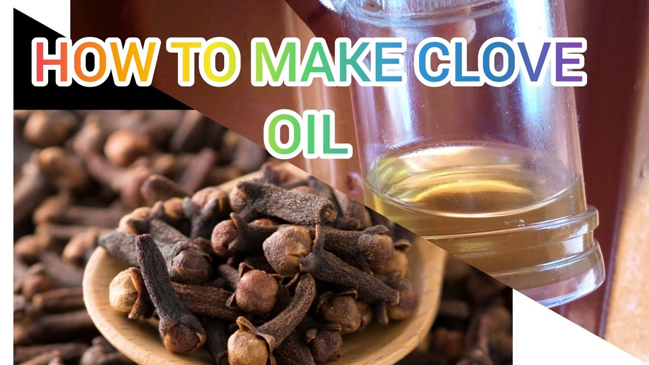 HOW TO MAKE CLOVE OIL AT HOME - YouTube