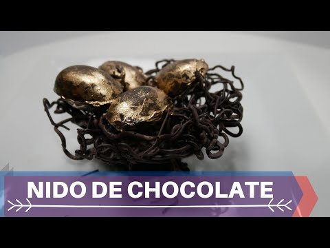 El Pájaro De Chocolate Más Popular Para Pascua | Loros Y Guacamayos