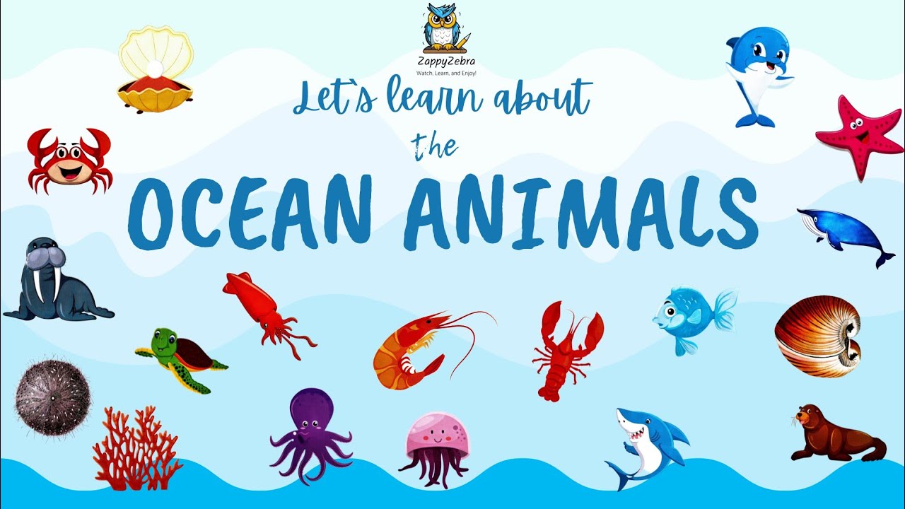 Sea animals | Ocean animals | Water animals for kids | Kids vocabulary ...