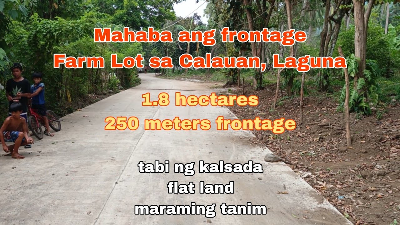 (P# 775) 1.8 hectares farm Lot @ 600/sqm in Calauan, Laguna for sale ...