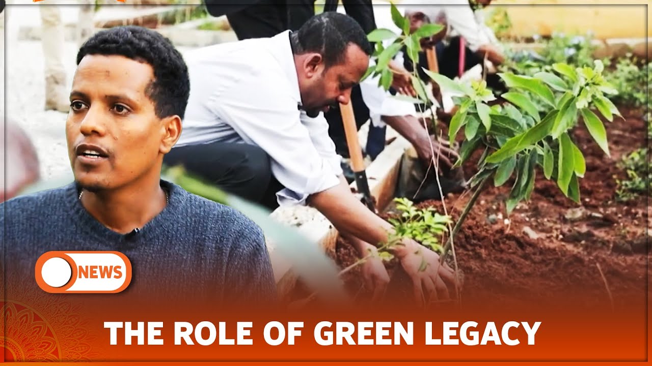 THE ROLE OF GREEN LEGACY - YouTube