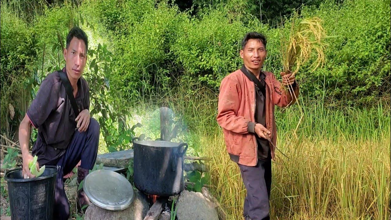 hnub no peb mu hlais nplej nawb - YouTube