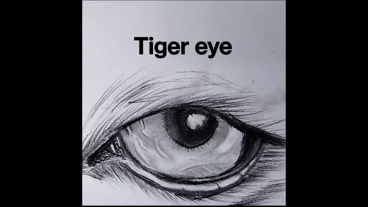 How to draw Tiger eye | easy | step by step for beginners. - YouTube