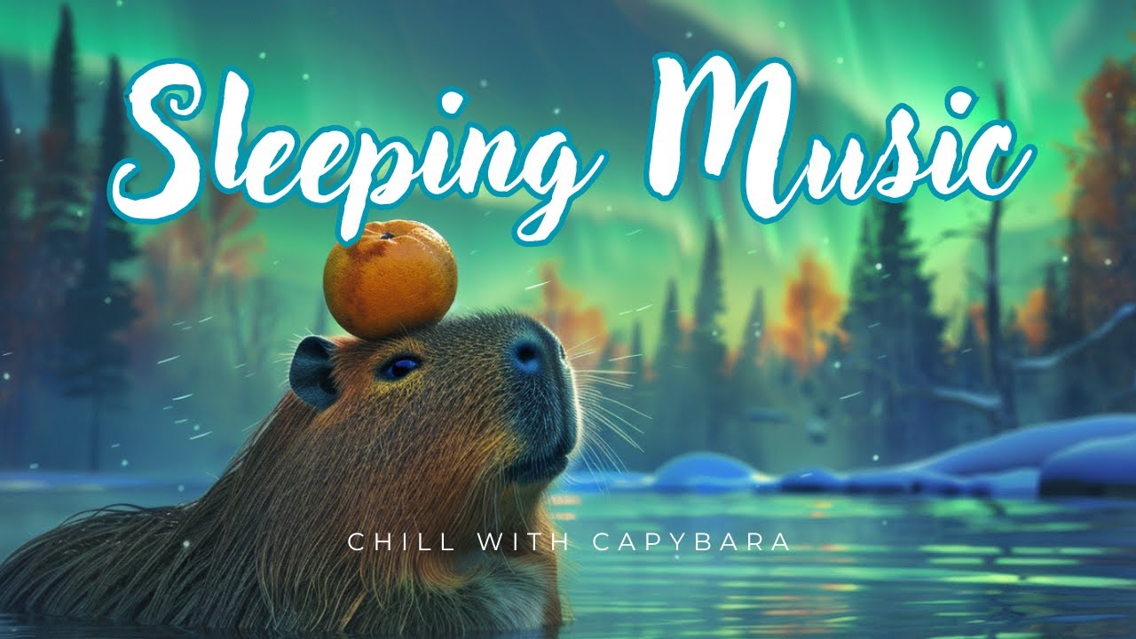 Capybara Music | Relax Music | Aurora | 1 hour | Sleep | Meditation ...