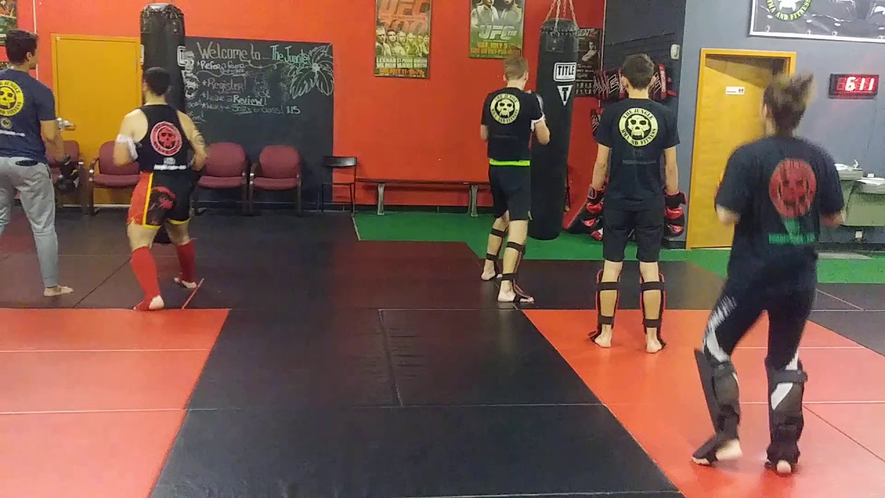 Master Enrique Franceschi Jungle MMA Lake Mary FL - YouTube