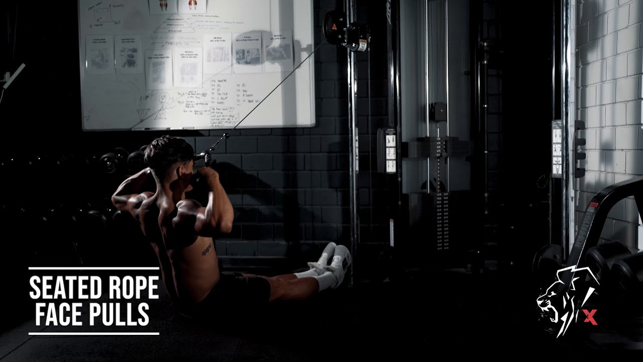 Seated Rope Face Pulls - YouTube