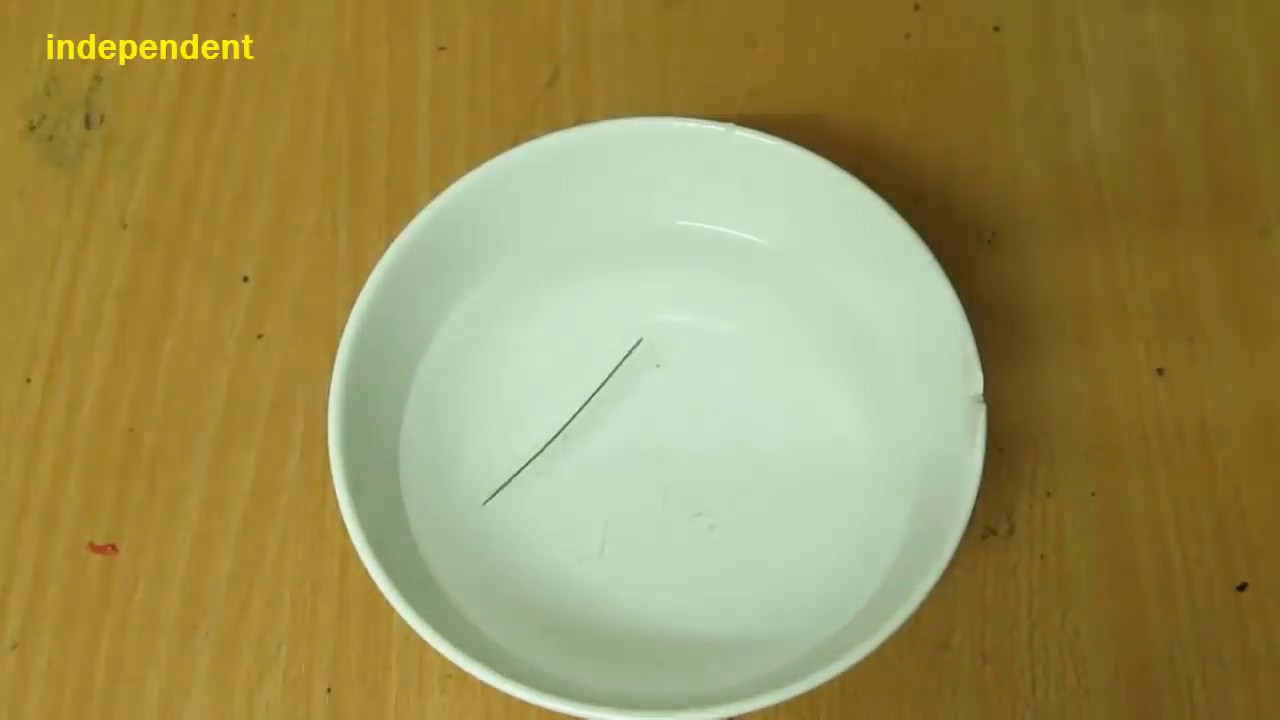 Just DIY - Floating Needle and Make a Simple Compass - YouTube