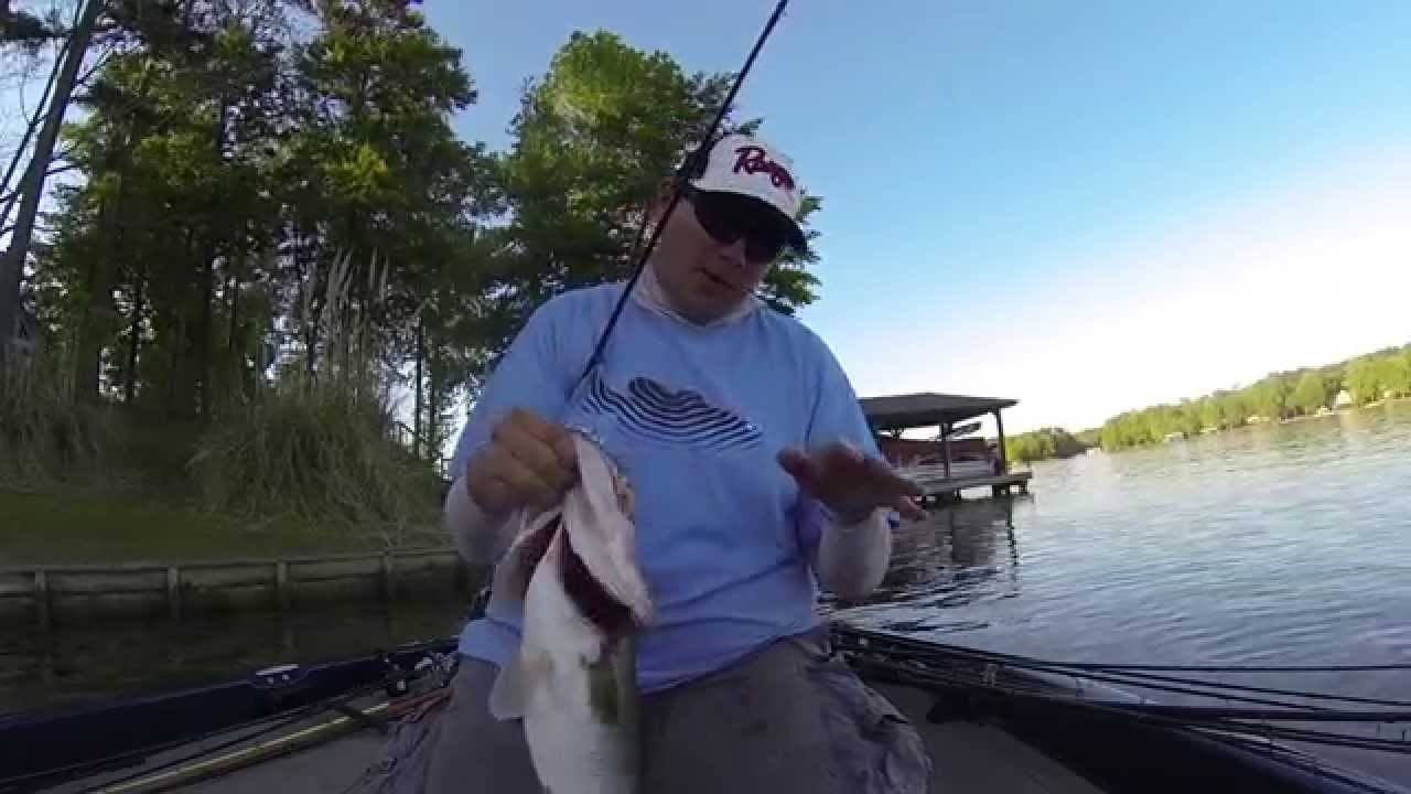 5lbs Bass on Strike King Sexy Frog | This is how Tournament/practice ...