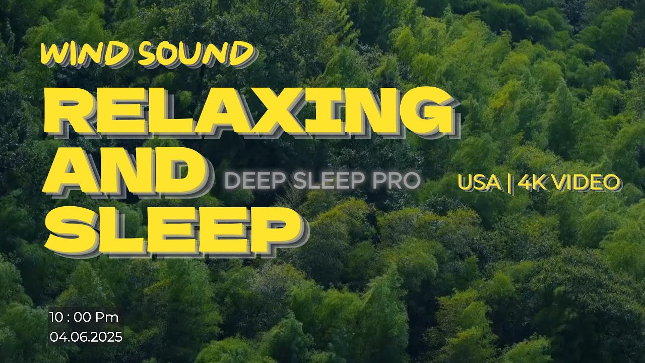 Sleep with Wind Sounds x Natural White Noise for Deep Rest | Wind ...