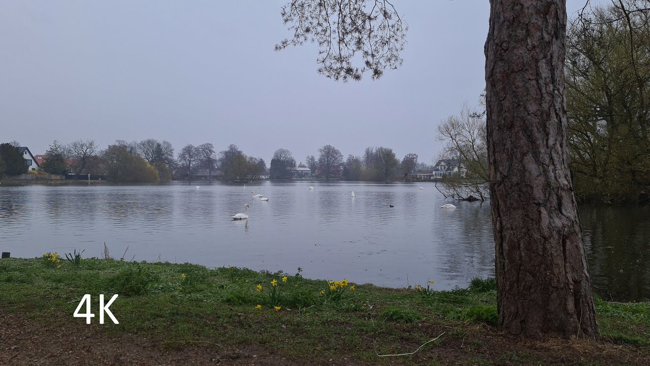 Rainy spring walk・Hellerup Station to Utterslev bog・4K・Tamletac - YouTube