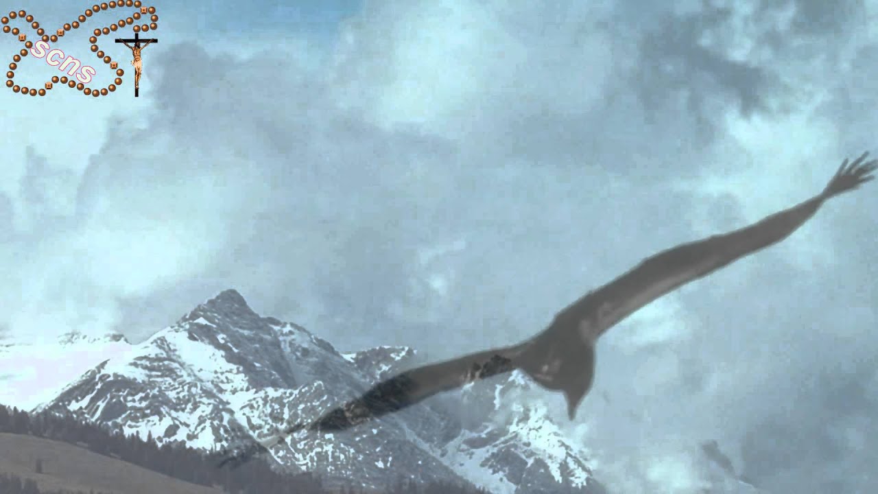 Condorul în zbor - YouTube