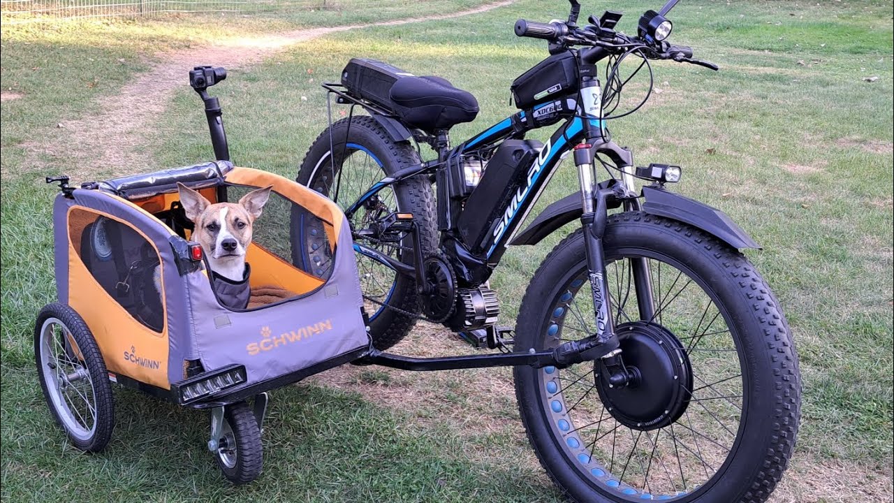 Bron got his ride back! E-bike Doggie Sidecar Version 2.0 #dogsidecar # ...