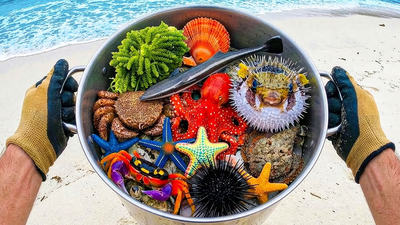 Hairy Crab 🦀, Fat Pufferfish 🐡, Sea Snake 🐍, Sharksucker 🐟, Octopus 🐙 ...