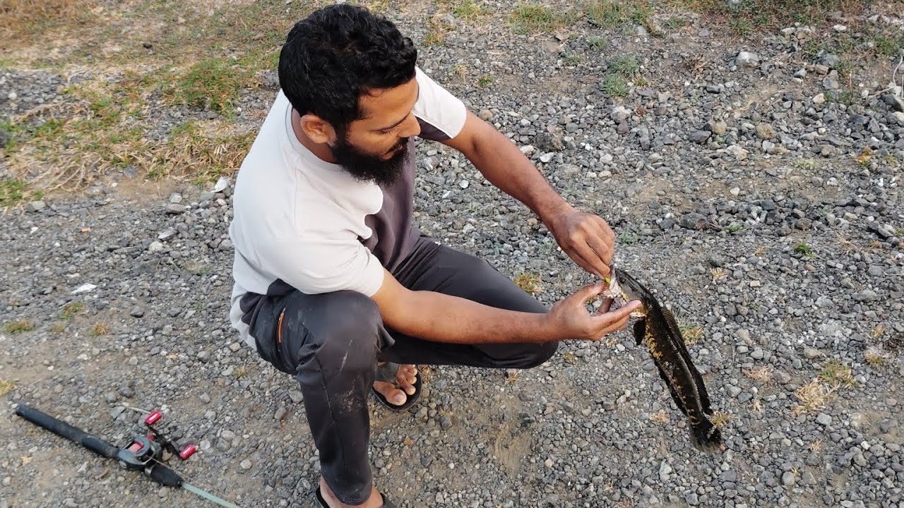 Soul fish Snakehead fishing video hook fish - YouTube