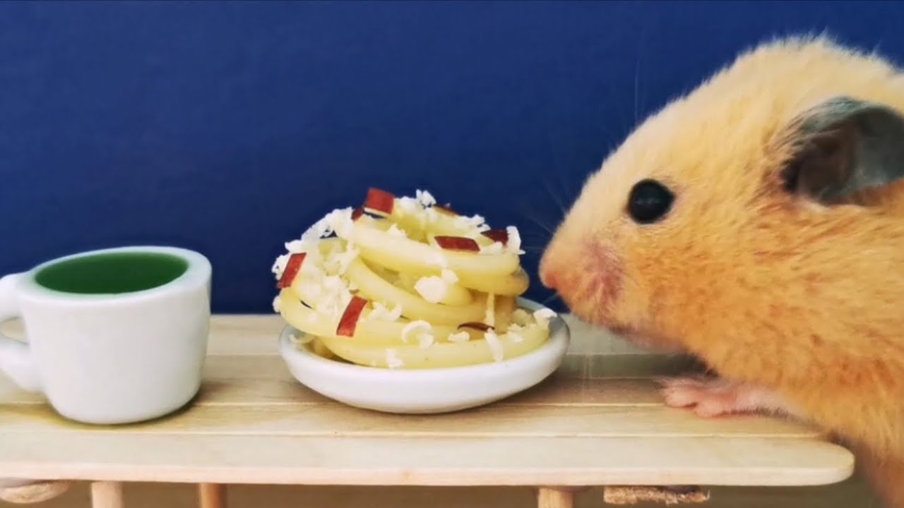 Mini Food for Hamster ~ Cooking Miniature Paste - YouTube