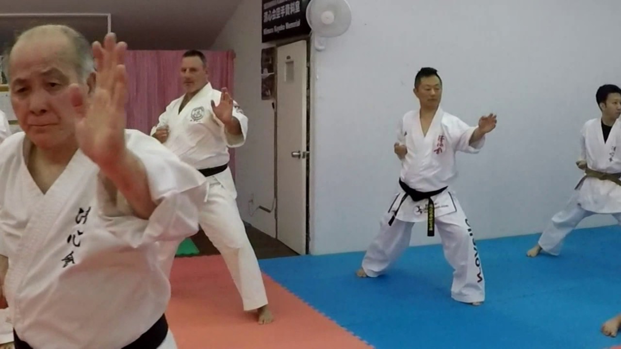 Seishin-ryu Karate 清心会本部へダレン先生来館 2017.6 vol.2 - YouTube