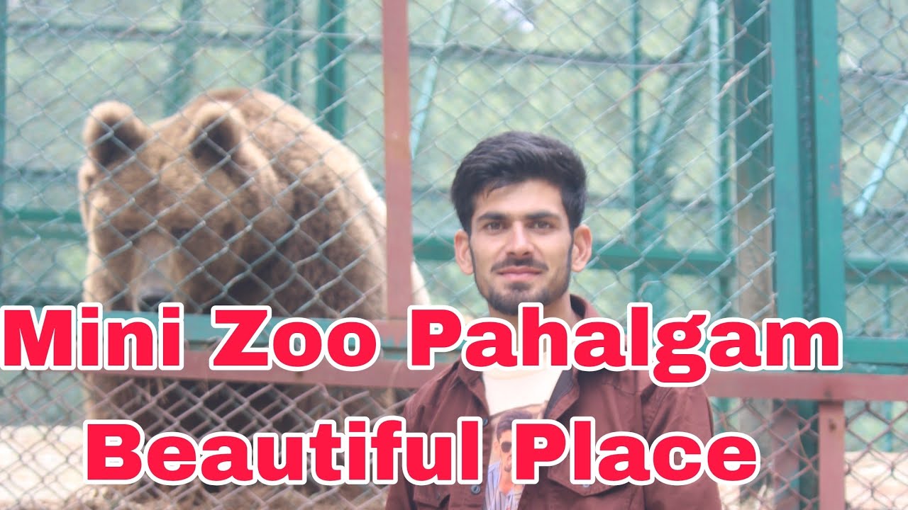 Mini Zoo Pahalgam - YouTube