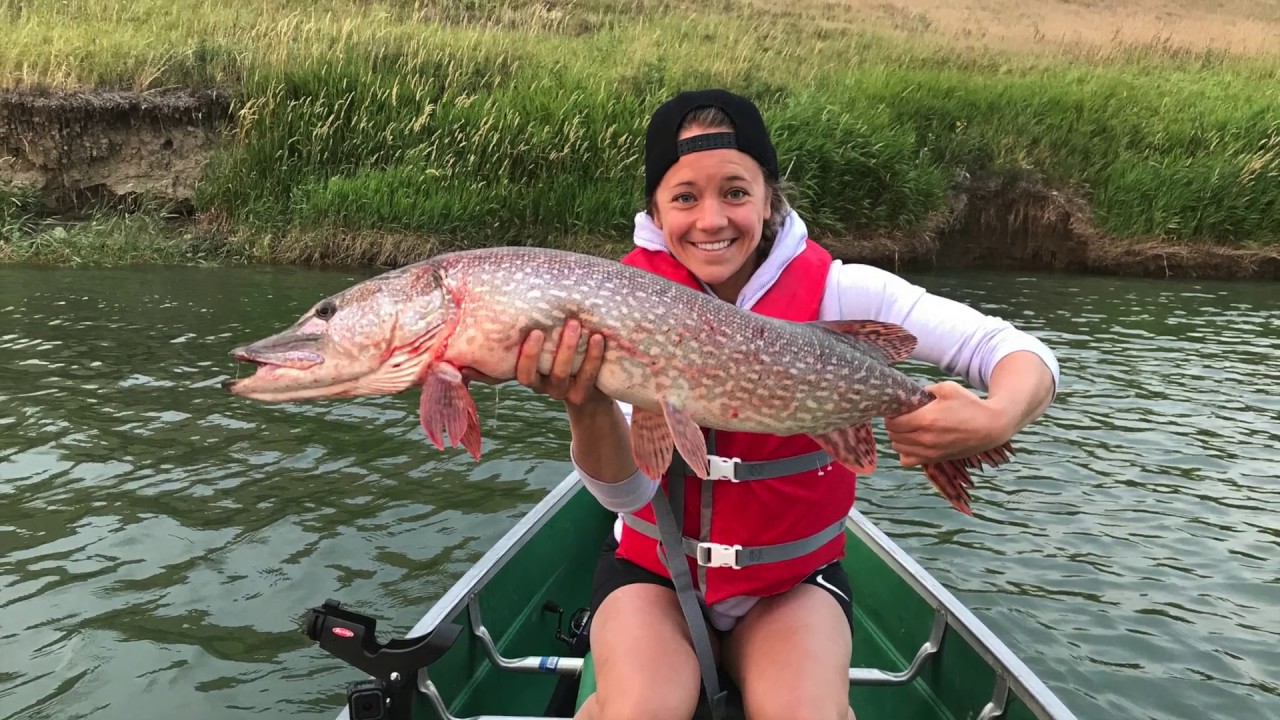 Tailgate Camping & Slough Sharks! - Newell Lake, Brooks, Alberta - YouTube