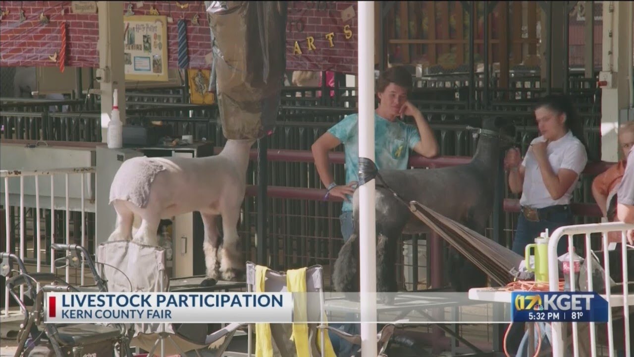 Livestock participation at the Kern County Fair - YouTube