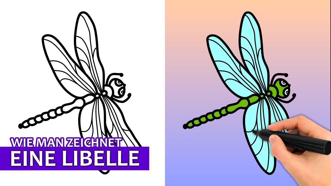 Wie Man Eine Libelle Zeichnet (Einfaches Zeichentutorial) - YouTube