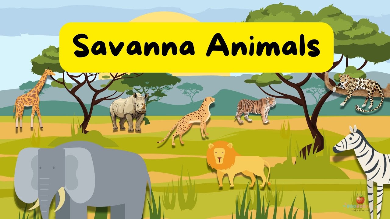 Savanna Animals Song for Kids | Learn About Giraffe, Zebra, Lions ...