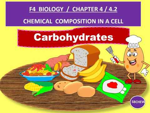 Biology Form 4 KSSM Chapter 4 (4.2) Carbohydrates Part 1 - YouTube
