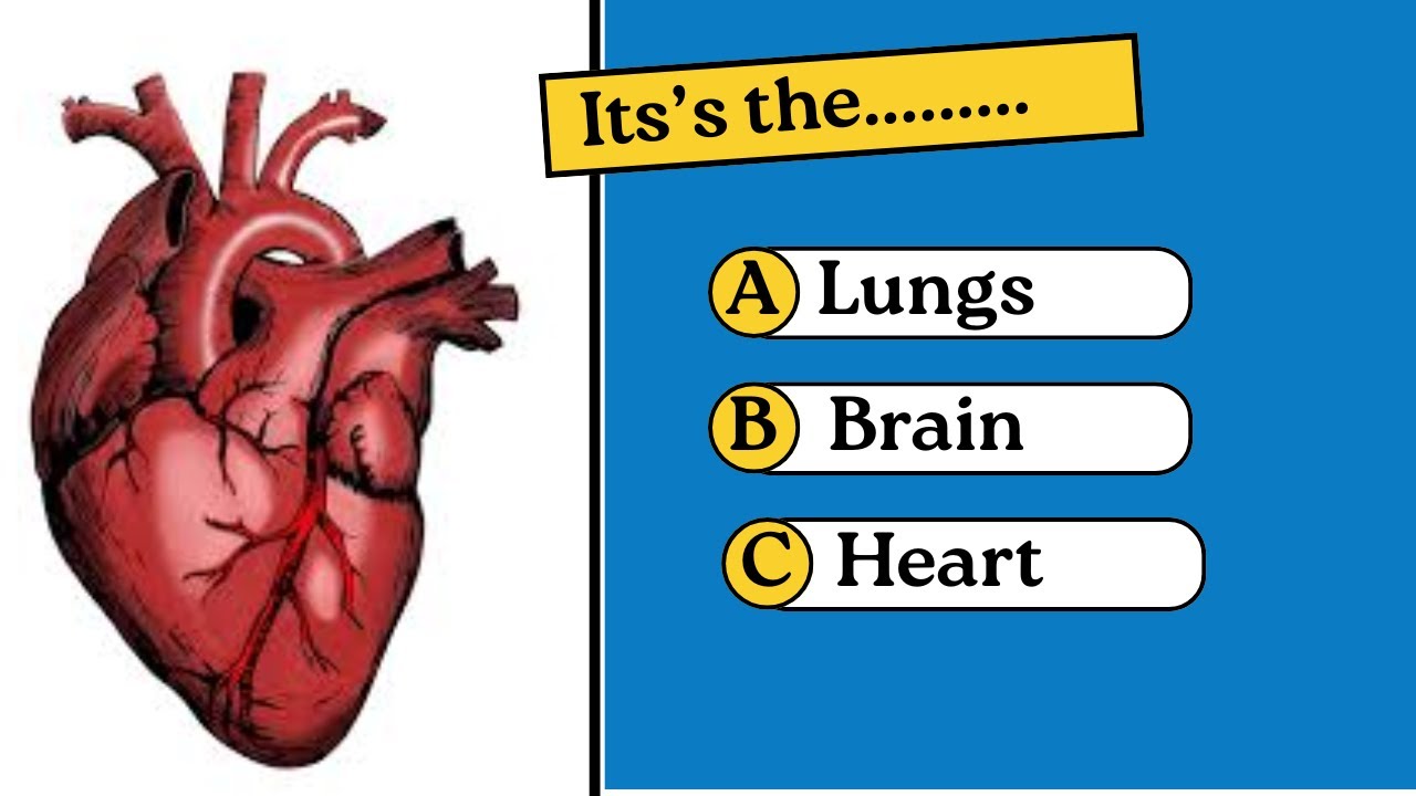 Can You Pass Human Body Test! Easy To Impossible Quiz Challenge - YouTube