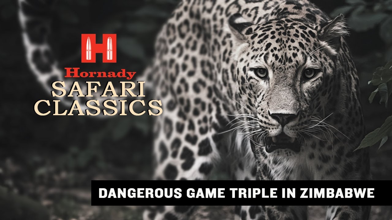 Cape Buffalo, Tuskless Elephant, and Leopard Hunt in the Zambezi Valley ...