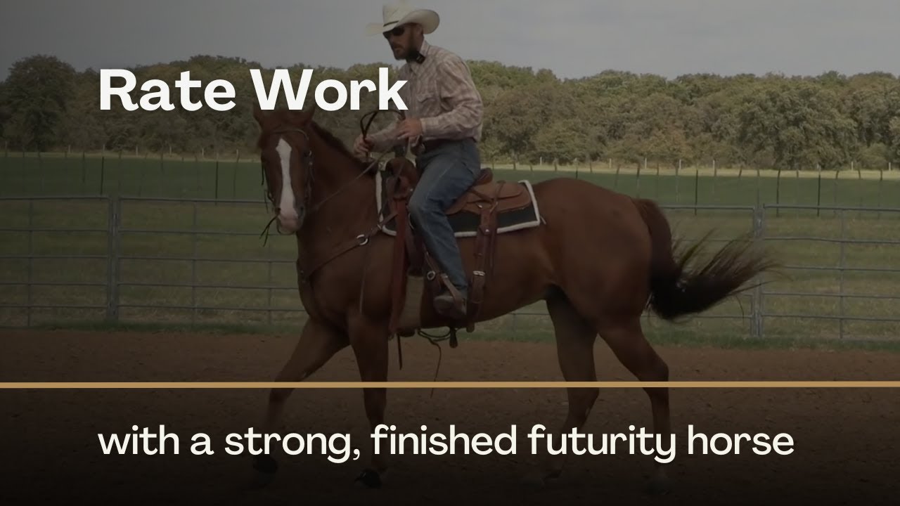 Seth Schafer Works on Rate with one of Ashley's 2024 Futurity Horses ...